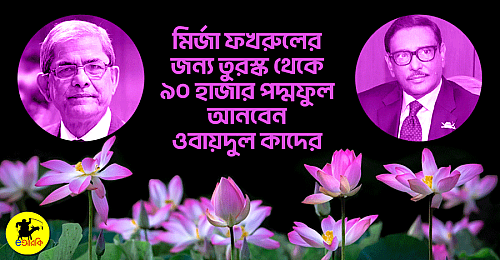 মির্জা ফখরুলের জন্য তুরস্ক থেকে ৯০ হাজার পদ্মফুল আনবেন ওবায়দুল কাদের